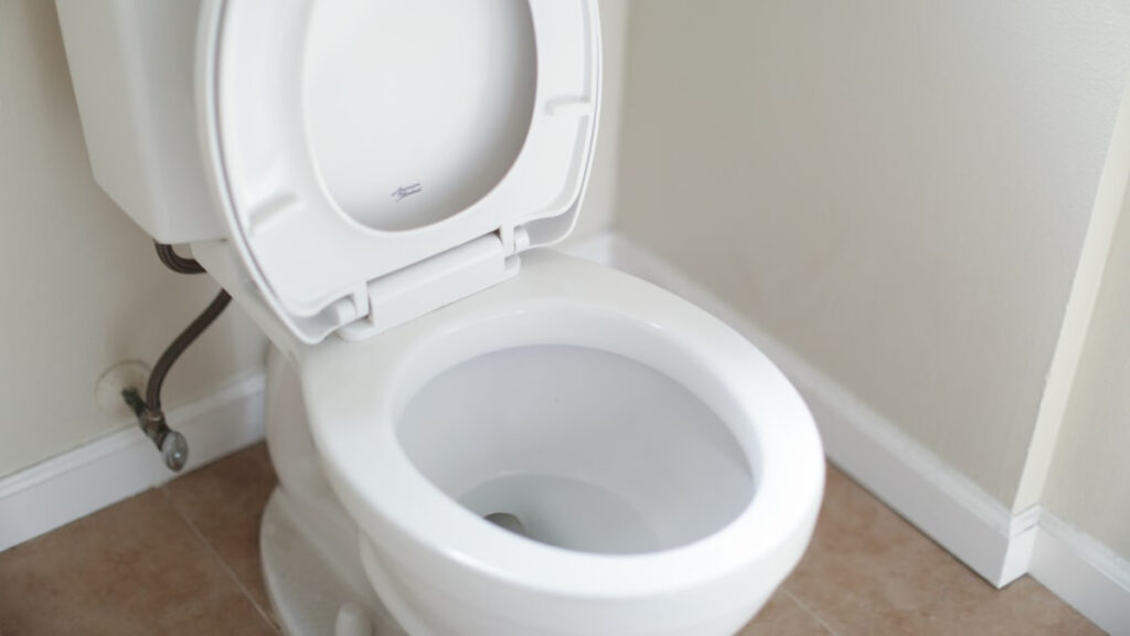 What You Don't Know About Electric Composting Toilets - Green Home Gnome