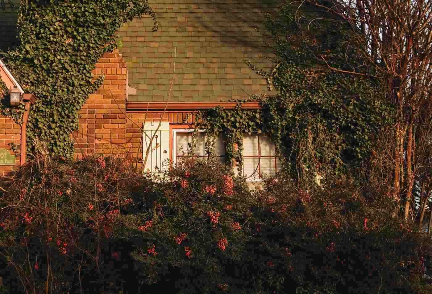 8 Green Features That Save Your Budget - Green Home Gnome
